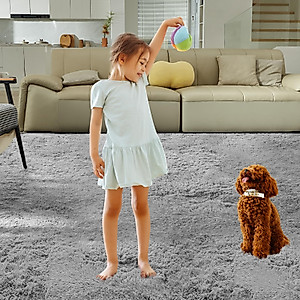 Ultra Soft Rug for Living Room, 5X8 Ft Grey Fluffy Shag Area Rug for Bedroom, Modern Shaggy Carpets Fuzzy Rug for Teens Dorm Nursery Home Decor Aesthetic, Upgrade Anti-Skid Durable