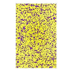 FGI SpotOn Water Sensitive Paper (WSP) for Sprayer Calibration - One Pack of 2 x3 Paper - 25 Sheets Per Pack - Reduce Waste and Ensure Consistent Application of Spray Droplets - Assess Spray Coverage