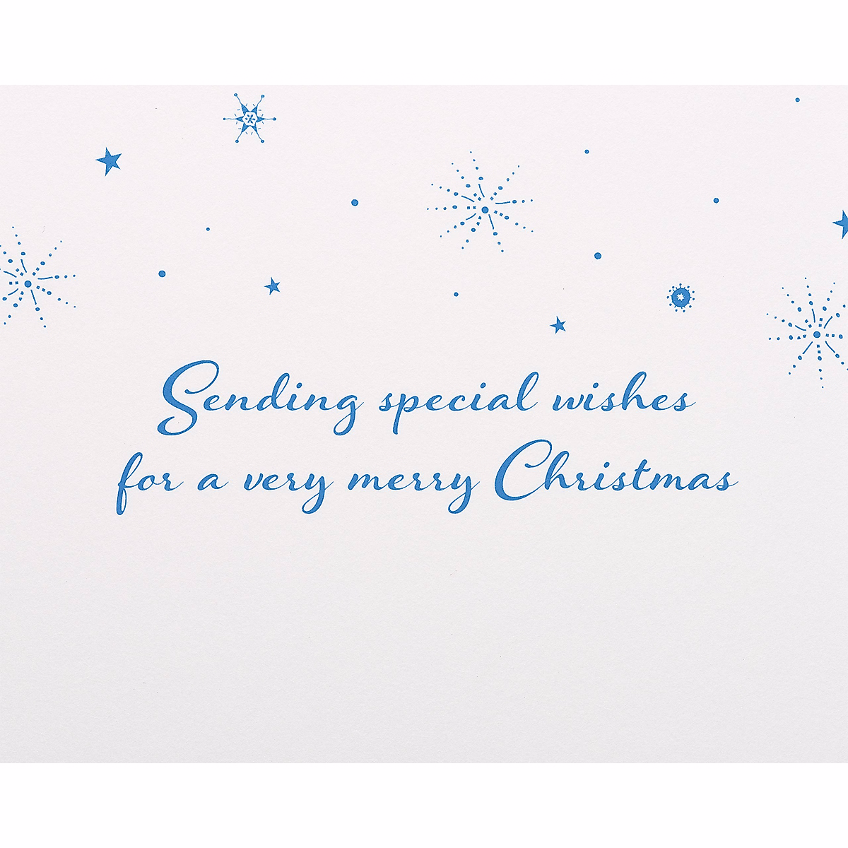 Papyrus Boxed Christmas Cards with Envelopes, Designed by House of Turnowsky, Special Wishes, Christmas Trees (14-Count)