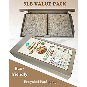 Organic Brown Jasmine Rice from Thailand - Whole Grain Vegan Natural Healthy Superfood Gluten-free - 9 LB