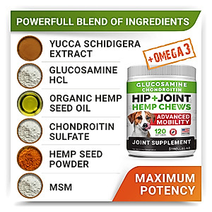 Large Breed Hemp + Glucosamine Dog Joint Supplement - Hemp Chews for Dogs Hip Joint Pain Relief - Omega 3, Chondroitin, MSM - Advanced Mobility Hemp Oil Treats for Large Dogs - Made in USA - 240 Ct