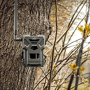 SPYPOINT Flex G-36 Twin Pack Cellular Trail Camera, 36MP Photos and 1080p Videos with Sound, GPS Enabled, Dual-Sim LTE Connectivity, 100' Flash & Detection Range + Two 32GB Micro SD Cards