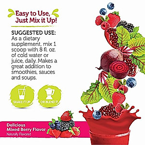 Healthy Delights Naturals, Organic Reds Probiotic’s Powder, Antioxidant Superfood, Naturally Boost Energy, Non-GMO, Delicious Mixed Berry Flavor, 30 Servings