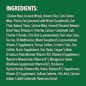 FELINE GREENIES Adult Natural Dental Care Cat Treats, Savory Salmon Flavor, 4.6 oz. Pouch