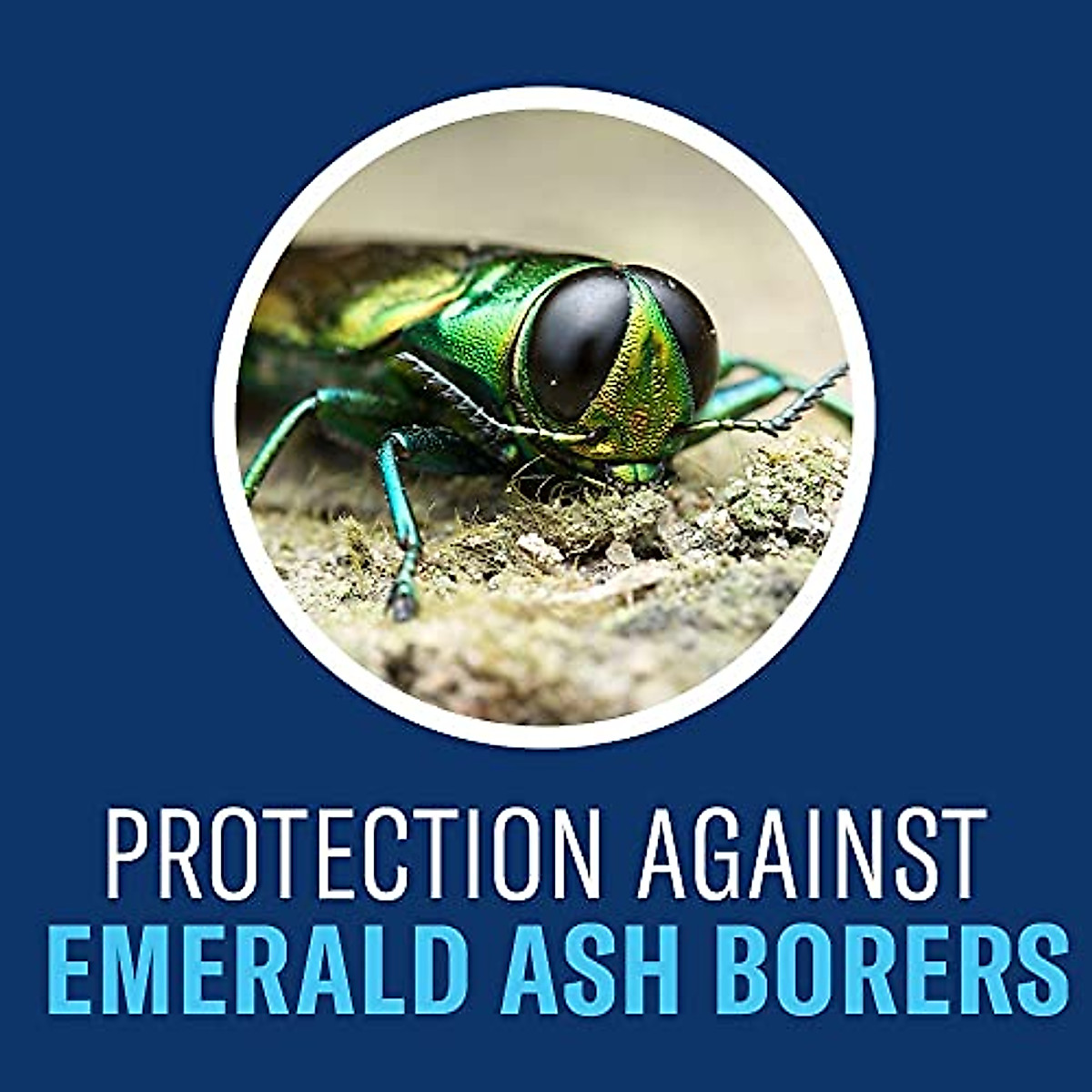 BioAdvanced 701525A Month Tree and Shrub Insect Control, 1 gal, Concentrate