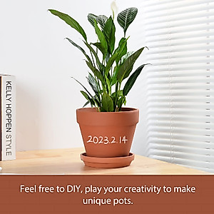 INGOFIN Terracotta Pots Set with Saucer - 2-Pack Ceramic Clay Planters with Drainage Hole, Garden Flower Succulent Pots with Tray for Indoor Outdoor Plants, 8 inch, Set of 2