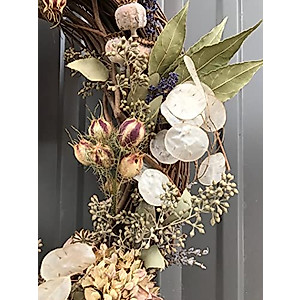 TomorrowSeeds - Money Plant Seeds - 150+ Count Packet - Non GMO USA Lunaria Annual Honesty Silver Dollar Plant Wildflower Garden Flower