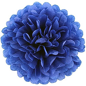 IGUO Graduation Party Supplies Navy Blue Orange White American Birthday Bachelorette Baby Shower Wedding Party Decoration Tissue Pom Pom, Orange Silver Paper Tassel for Festivals School Party Idea