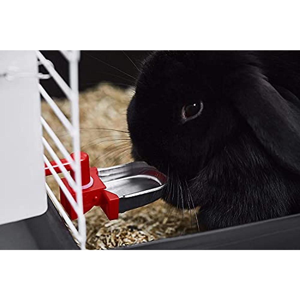 No-Drip 32 Oz Small Animal Drinking Bottle with Metal Cup for Small Pet/Bunny/Ferret/Hamster/Guinea Pig/Rabbit/Chinchilla/Mouse/Rat. BPA-Free.