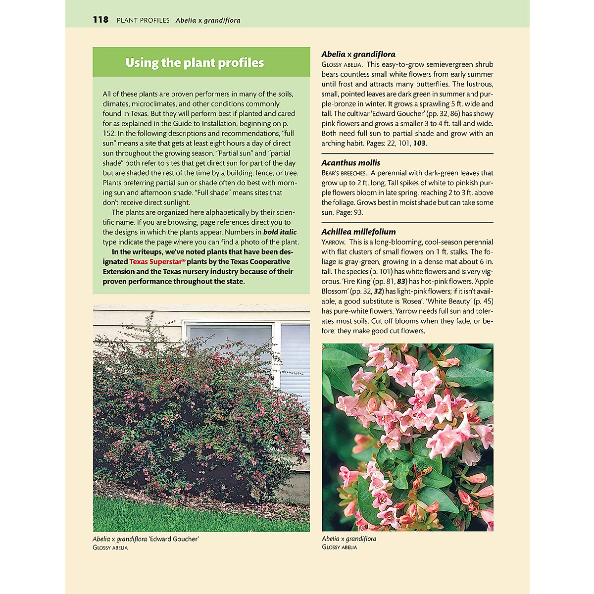 Texas Home Landscaping, 3rd Edition: 48 Landscape Designs, 200+ Plants & Flowers Best Suited to the Region (Creative Homeowner) Gardening Ideas, Plans, and Outdoor DIY Projects for TX and OK