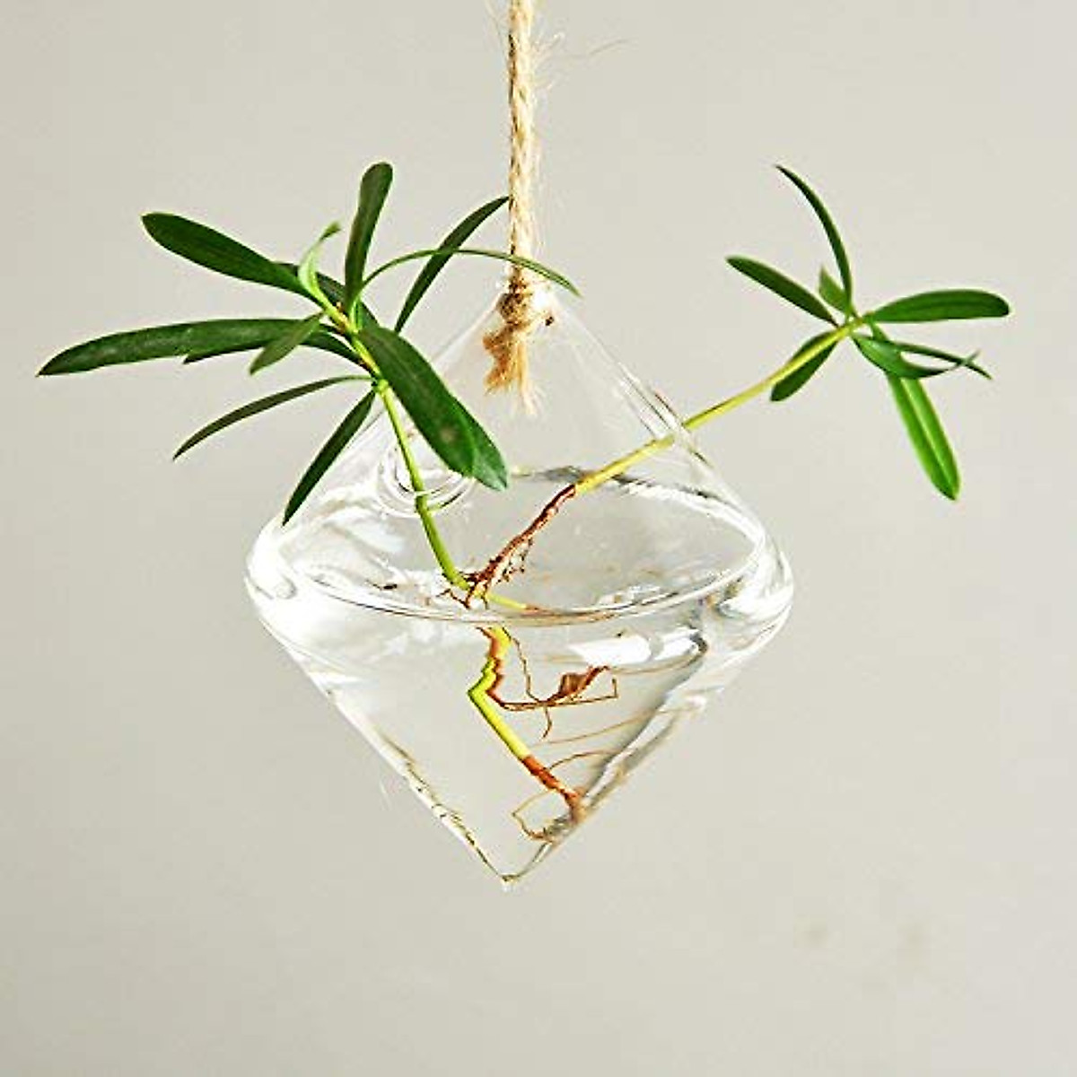 Fashionstorm Indoor Outdoor Glass Hanging Planters Plant Pots Water Plant Containers Flower Pots Glass Terrariums 3 Pieces