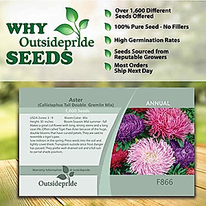 Outsidepride Tiger Paw Aster Gremlin Garden Flower Plant Seed Mix - 1000 Seeds