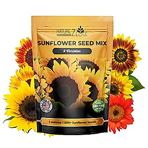NatureZ Edge 1300+ Sunflower Seeds Variety Pack, Sunflower Seeds for Planting, Get More Sunflower Seeds to Plant, Non-GMO