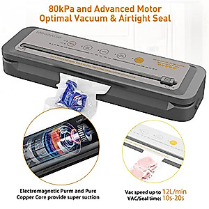 MegaWise Powerful but Compact Vacuum Sealer Machine (Silver Grey)