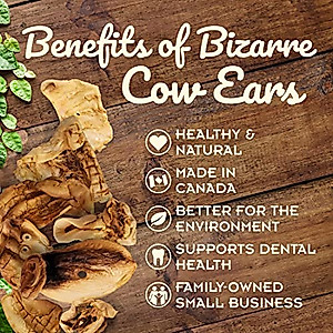 Pawstruck Natural Bizarre Cow Ears for Dogs, 1.5 lb Rawhide Free Bargain Bag, Low Fat and High Protein Dental Chews for All Breeds, Digestible Beef Treats, Calming Treat Dog Chews