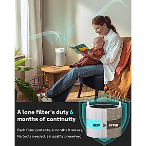 2 Pack Mini Max Replacement Filter Compatible with Blueair Blue Pure Mini Max Air Pur-ifiers, True HEPA H13 Filter & Activated Carbon FMINI Filter Replacement Compatible with Blue Pure Mini Max