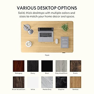FLEXISPOT EN1 One Piece Standing Desk, 48 x 24 Inches Height Adjustable Desk Electric Stand up Desk Home Office Table for Computer Laptop (White Frame + Maple Desktop)