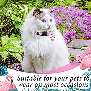 4 Pieces Cat Collars Breakaway with Bell and Pendants Colorful Summer Cat Safety Collar Adjustable Collar for Cats Cute Kitten Collar Set Cat Collar for Pet Kitten Supplies (Cute Style,Medium)