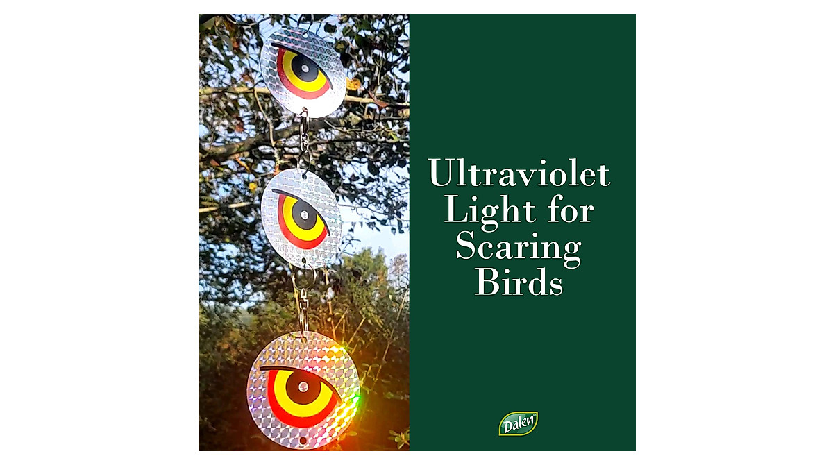 Dalen Guard'n Eyes Reflective Disks - Bird Scare Solutions
