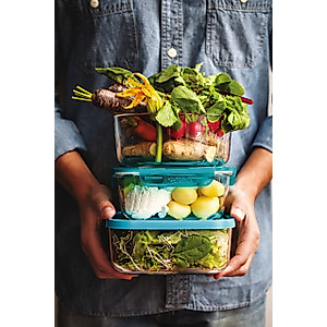 Bormioli Rocco Frigoverre Evolution Collection - 7 x 5.5 Inch Rectangle Container - 1 Liter (33.75oz) - Grey