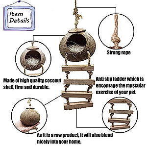 kathson Lizard Coco Den with Ladder, Bearded Dragon Tank Accessories Gecko Coconut Husk Hut with Jungle Climber Vines with Suction Cups Habitat Décor