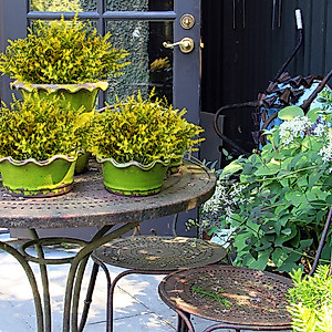 URSTOUD 6PCS Artificial Lavender Flowers,Fake Greenery Faux Plastic Artificial Flowers UV Resistant Lavender Bouquets for Wedding Hanging Bouquet Indoor Outdoor Home Garden Office Table Vase(White)