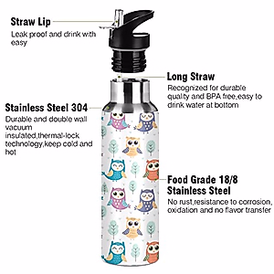 xigua 32oz Double leak Proof layer Insulated Keep Warm,Cute Happy Owls Stainless Steel Water Bottle with Straw for Sports and Travel#3