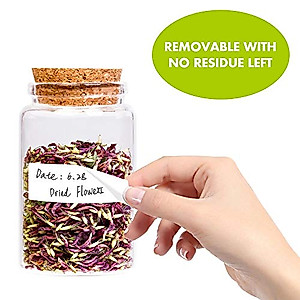 1000 Blank Removable Freezer Labels Water Oil Resistant with Perforation Line for Food Containers Jars Pantry Organization (Each Measures 1x 3inch)