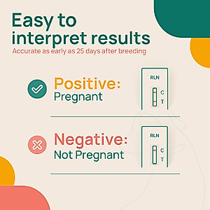Dog Pregnancy Test for Breeders - Accurate Results and Clear Instructions - Blood Test with Additional Requirements, Check Product Details Before Purchase - at Home Canine Pregnancy Test Kit - 2-Pack