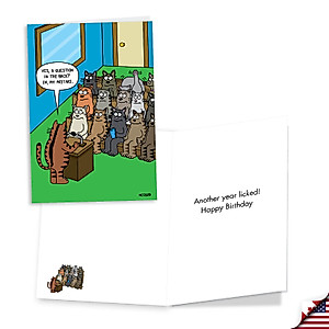 NobleWorks Assorted 3 Pack of Cats Humor Birthday Cartoons Greeting Cards with Envelopes (3 Designs, 1 Each) Cat Laughs VC2805BDG-C1x3