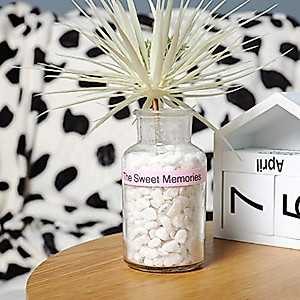 Replacement for Brother P-Touch Label Maker Tape TZe 12mm 0.47 Inch Laminated TZ Colored Tape Compatible with Brother P Touch Label Maker PT-D210 PT-H110 PT-1880 PT-D400, 1/2" x 26.2', 5 Pack