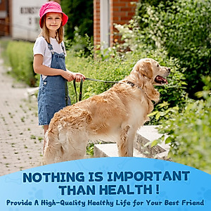 Pawfun Dog Knee Brace for Torn ACL Hind Leg, Dog Leg Brace for Large and Small Dogs with Hip Dysplasia, CCL, Ligament Injuries or Osteoarthritis, Both Back and Front Legs (Large)