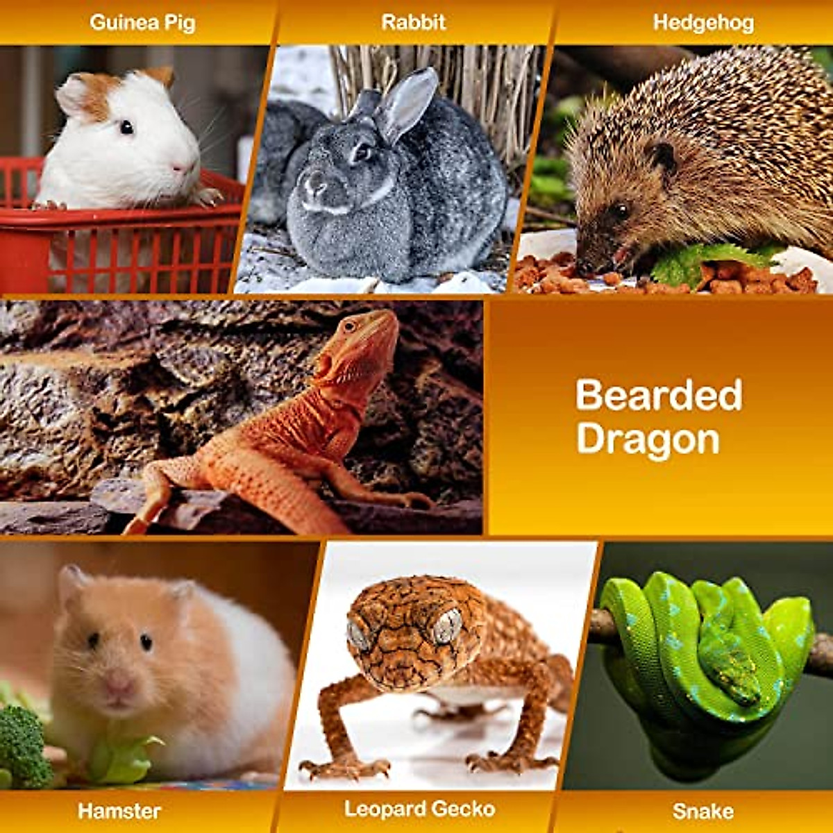 WATFOON Adjustable Lizard Leather Leash Harness and Bearded Dragon Carrier Sling, Reptile Small Pet Training Leashes and Beardie Snuggle Sling Bag for Outdoor Travel(XL Grey Sling)