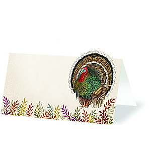 Thanksgiving Place Cards for Table Settings Pak of 16 - Thanksgiving Table Decor with Turkey Decorations for Thanksgiving Table Settings - Name Cards Die Tent Cards, No Place Card Holders Needed