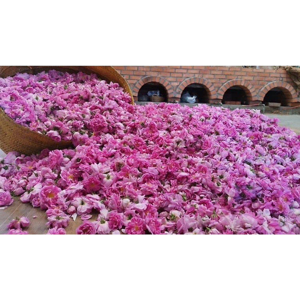 OFLORALE Lebanese Rose Water, 8.45 fl oz, 100% Natural, No Sugar, for Cooking, Baking and Desserts