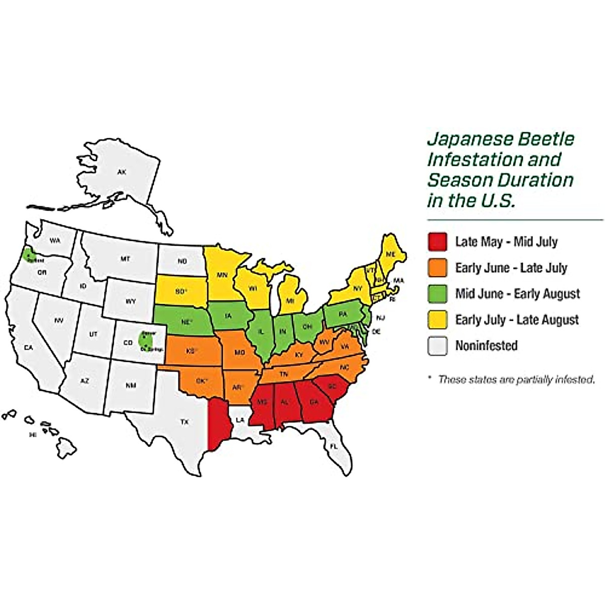 RESCUE! Japanese Beetle Trap – Reusable Bag - 6 Traps