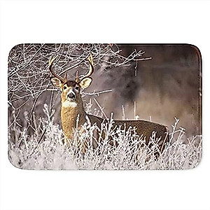 Beauty Collector Soft Hallway Entrance Welcome Mat Deer Prints Doormat for Bedroom Kitchen Dorm Funny Indoor Small Non Slip Rug Cabin Doorway Front Door Mat
