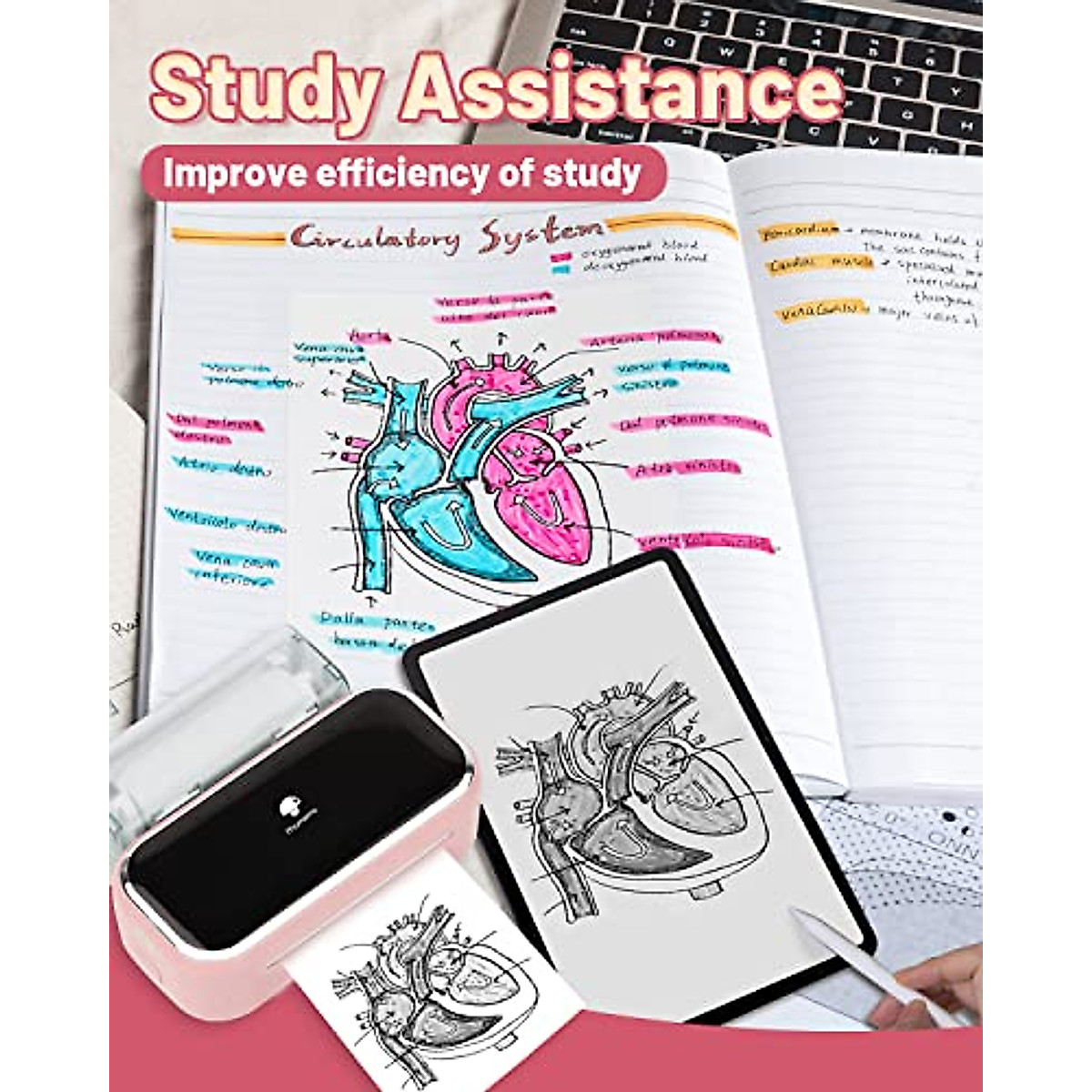 Phomemo M03 Portable Printer-2022 Bluetooth Portable Printer Photo Printer Wireless Portable Mobile Printer Thermal Printer Compatible with iOS + Android,Gift for Mom,Cute School Supplies-Pink