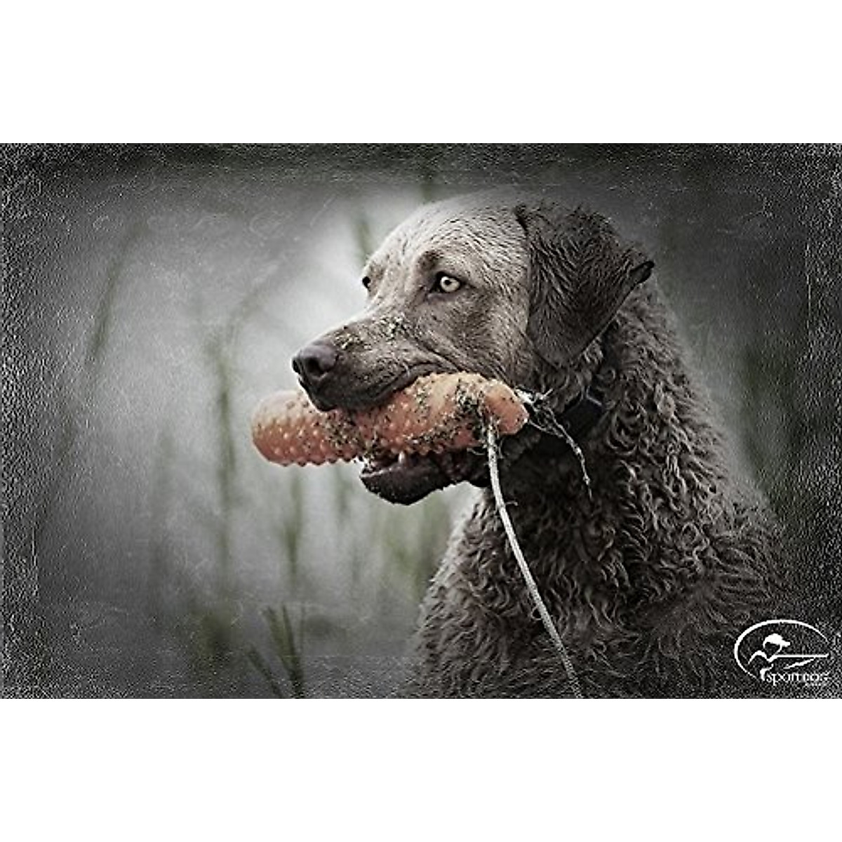 SportDOG Brand Plastic Dummies