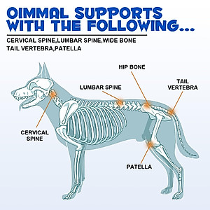 Hip & Joint Support Liquid Supplement for Dogs, Hip & Joint Glucosamine Drops for Dogs, Glucosamine for Dogs, Supports Joint Health, Dog Joint Pain Relief Treats, Liquid Glucosamine for Dogs
