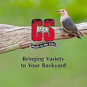 C&S Wild Bird Bluebird Suet Nuggets Mega Box, 8 Pounds