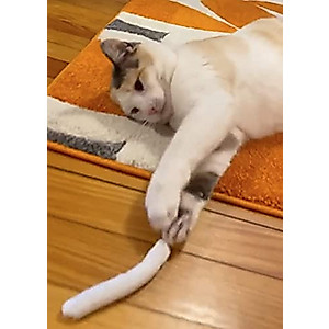 Smokey's Stash Catnip Filled Pre Roll Joints for Cats - 5 Joints per Pack