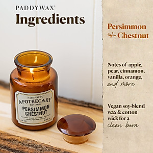 Paddywax Apothecary Artisan Hand-Poured Scented Candle, 8-Ounce, Persimmon Chestnut