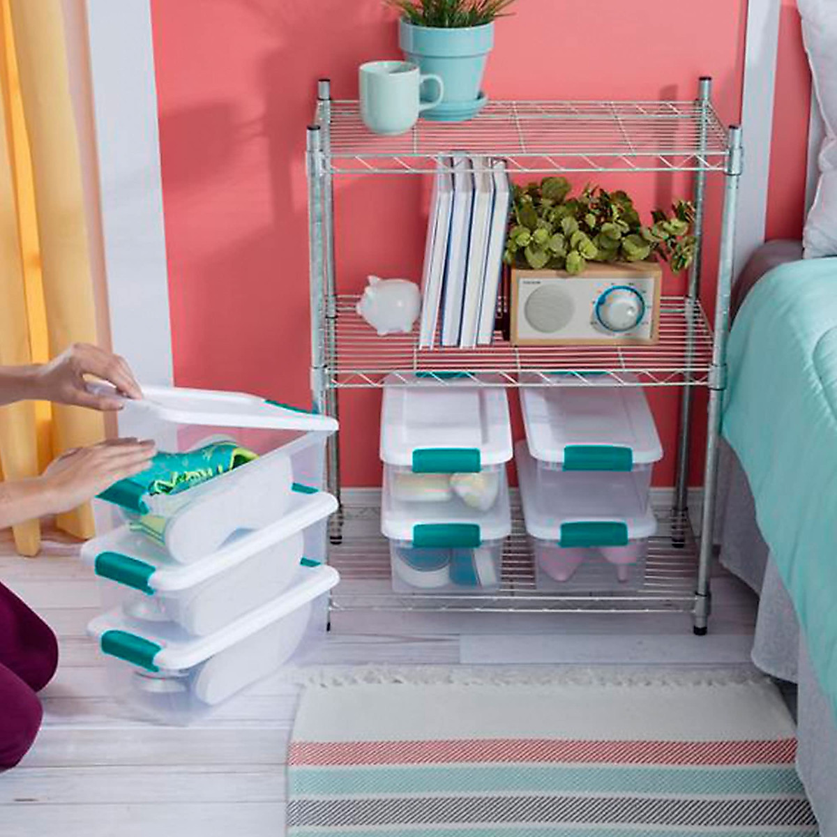 STERILITE 14928012 See Latching Box, Clear, Pack of 1