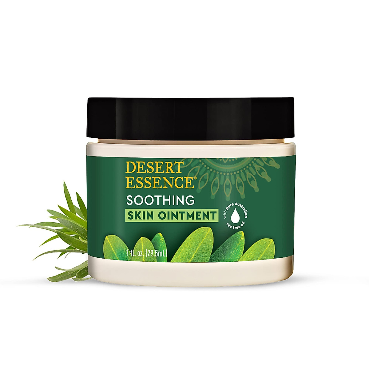 Desert Essence TEA TREE OIL SKIN OINTMENT – Itch Relief, Rash Cream for Razor Burn - Soothing Balm with Lavender & Jojoba - Gluten & Cruelty-Free - 1 oz