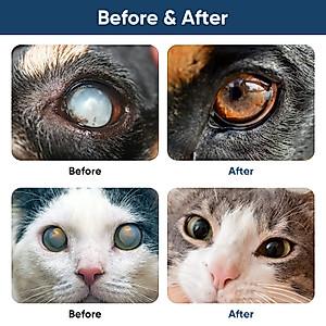 Cataract Drops for Dogs, Dog Eye Drops for Pet Eye Wash Relieve Pet Red Eyes, 2 Pcs Dog Eye Infections, Dryness, Removing Eye Stains&Cleaning Tear Streaks