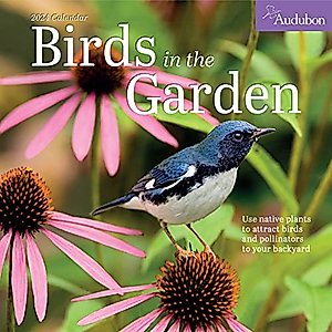 Audubon Birds in the Garden Wall Calendar 2024: Use Native Plants to Attract Birds and Pollinators to Your Backyard