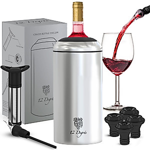 12 Degrés Wine Chiller Set - Perfect Wine Gifts for Women & Men - Stainless Steel Insulated Wine Cooler with Wine Pump, Aerator & 4 Stoppers (Silver)