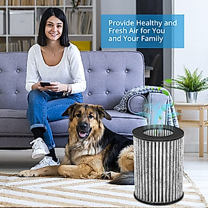 JORAIR True HEPA Replacement Filters Compatible with AM-1A Mini Portable Air Purifier, Hepa Filters for Model AM-1A, 2 Pack