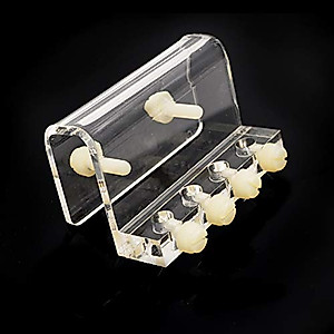 Aquarium Dosing 4 way tube holder tubling